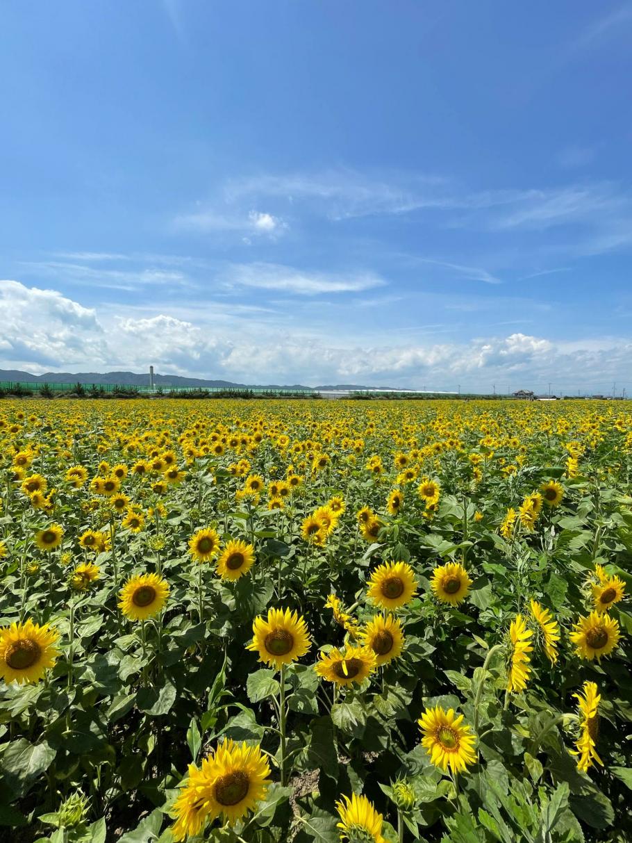 マイファーム東北 | Peatix