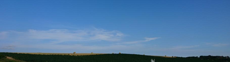 日本精神衛生学会第41回大会ページ | Peatix