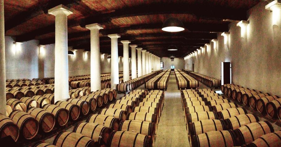 ナビ浮田のwine & trip | Peatix