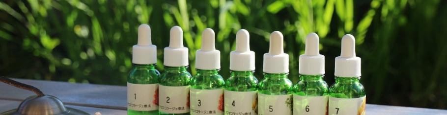 【オンライン・会員限定・無料】第2回 オンラインワークショップ入門 ～｢得意｣を活かしてオンラインを始めよう！ 2021/2/12 | Peatix