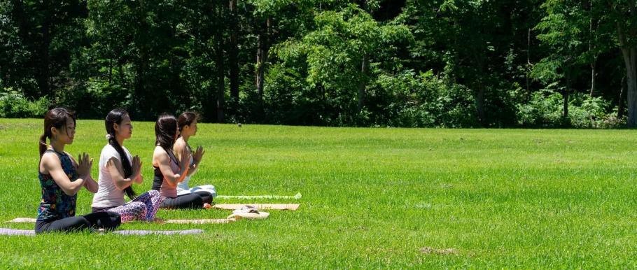 Pure Ayurveda Spa Leela Veda & YOGA | Peatix