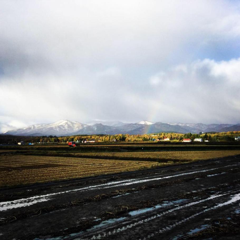 ヨガ・瞑想 【yuj】 | Peatix