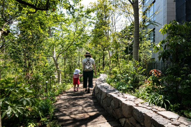 ののあおやま いきもの倶楽部 #1水辺の生き物 | Peatix